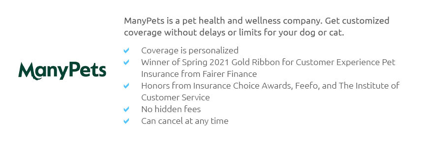 Best Cheap Pet Insurance 🐾 Sep 2025